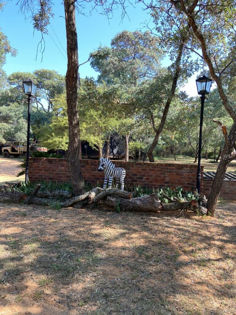 Kwagga & Pumba Kamp – Bushveld Game Farm